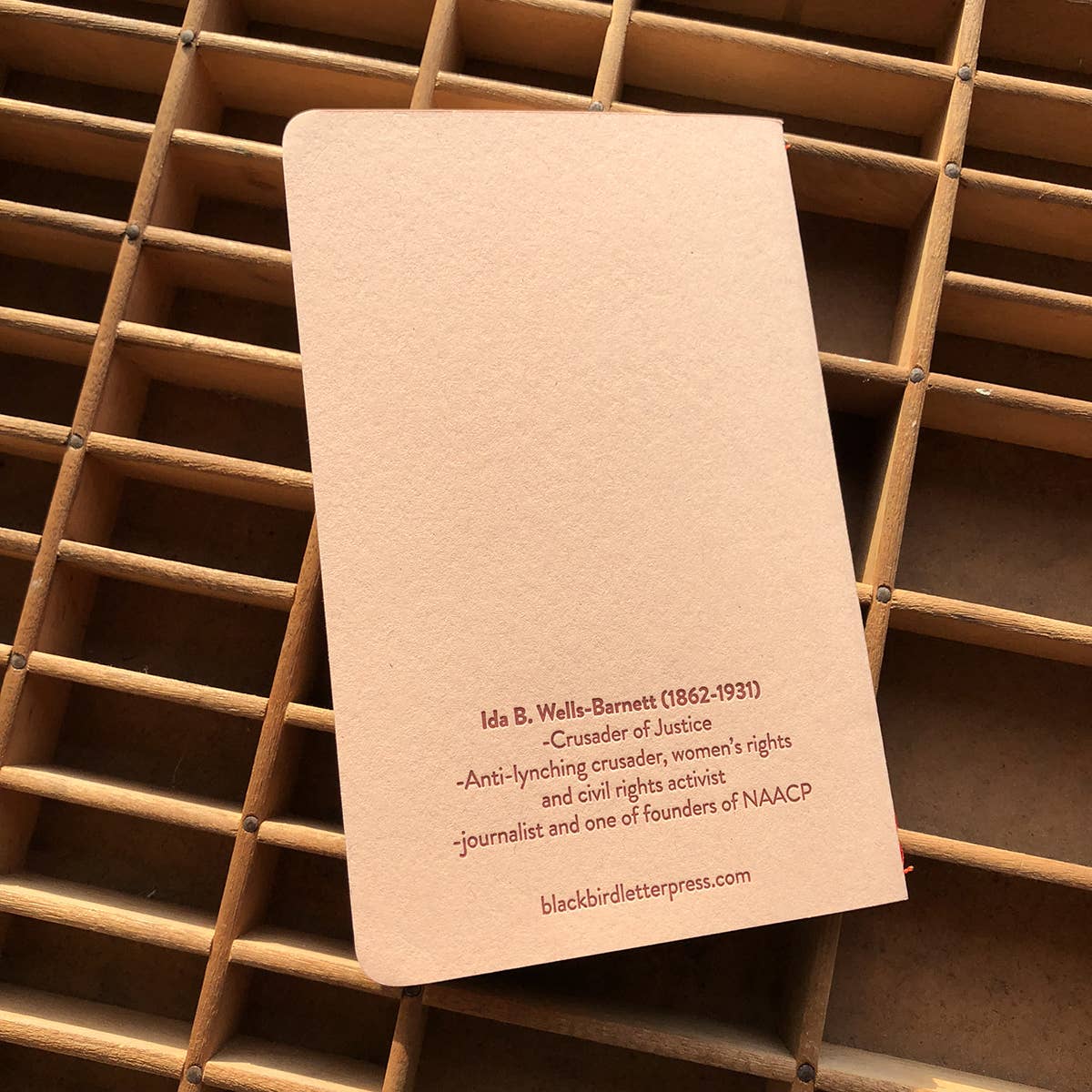 Ida B. Wells Notebook – National Women's History Museum